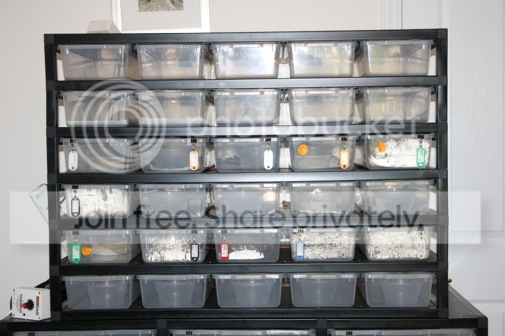 Custom Reptile Racks | Reptile Forums