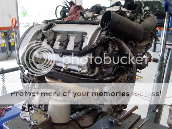 Phaeton Rear Main Seal Leak - Add to TOC | VW Vortex - Volkswagen Forum