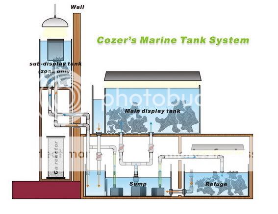 Cozer's Dream Reef